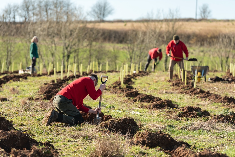 National Trust puts down roots of its first major community woodland ...
