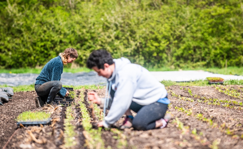 Final Call for Businesses to Benefit from Grant Funding | The Devon Daily