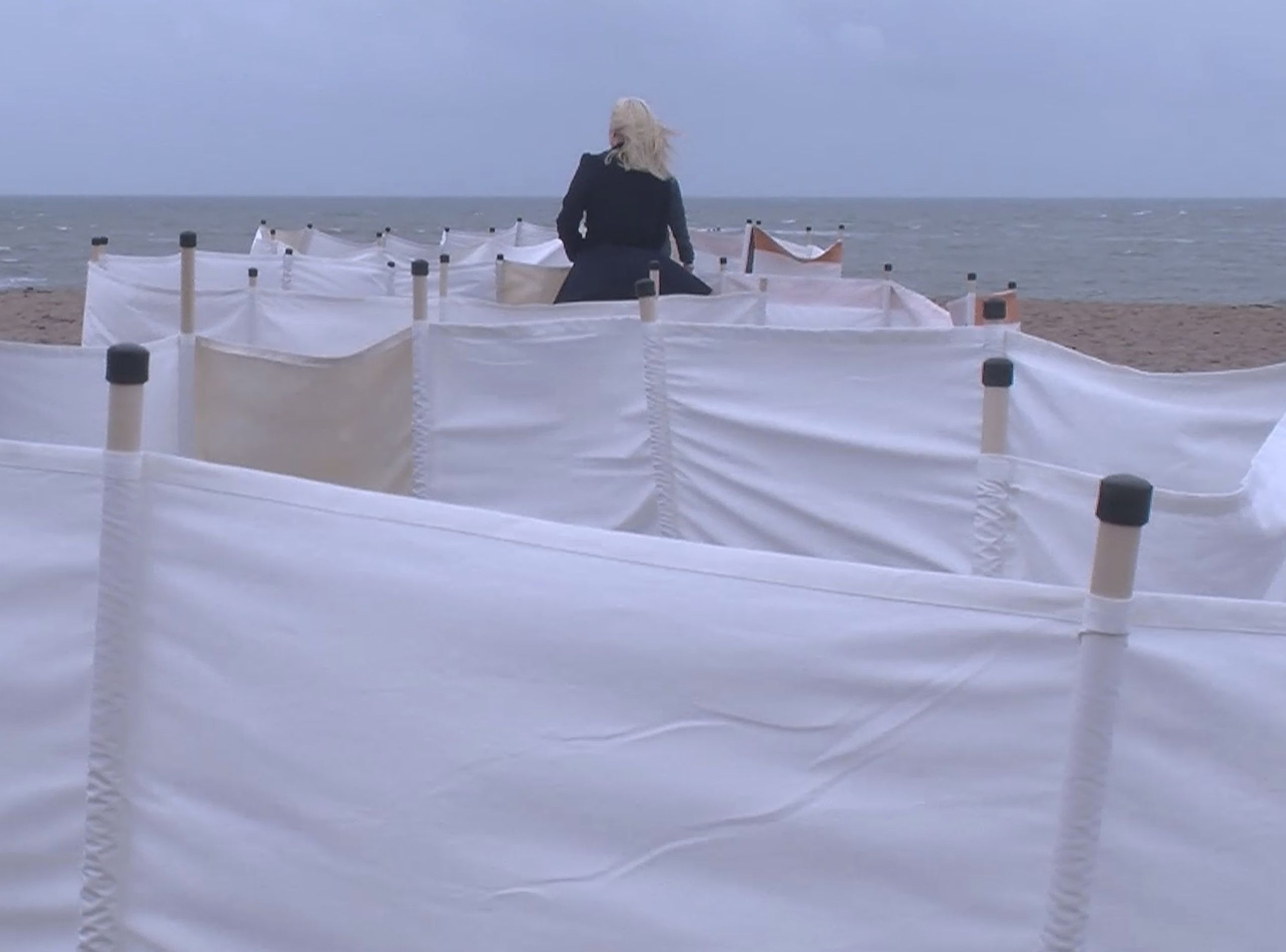 Emily Speed: Littoral Zone | The Devon Daily