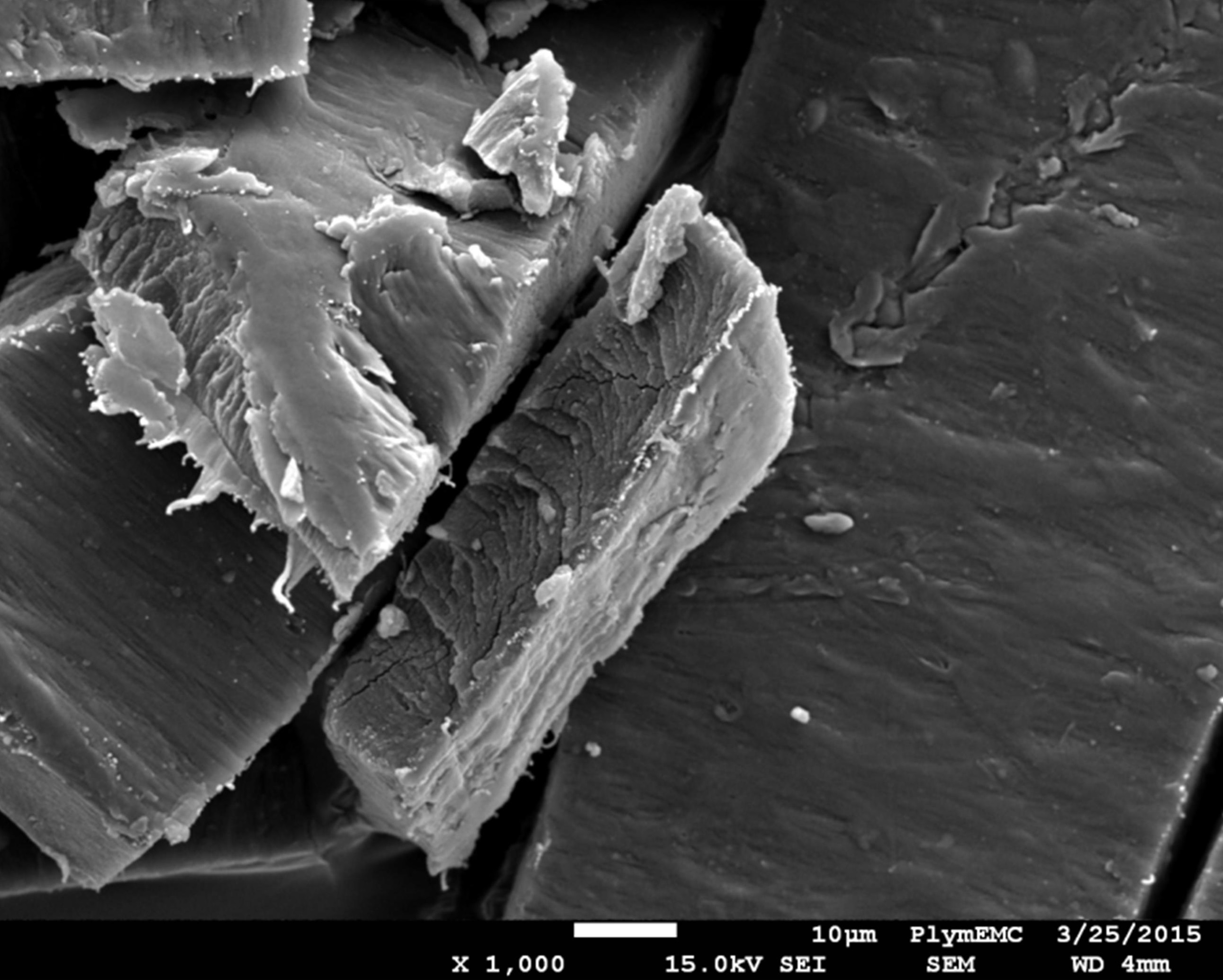 Plymouth academic welcomes Defra report on biodegradable plastic bags ...