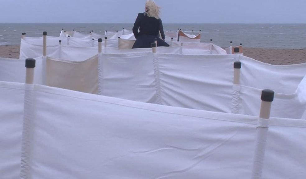 Emily Speed: Littoral Zone | The Devon Daily