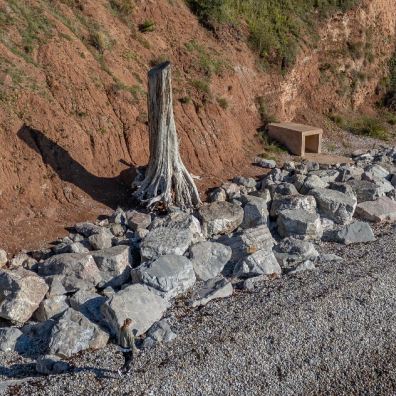 Local News | The Devon Daily